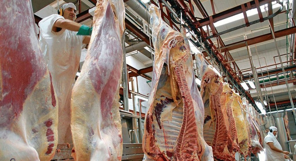 Australia trabaja para evitar cierre de mataderos - Actualidad Ganadera