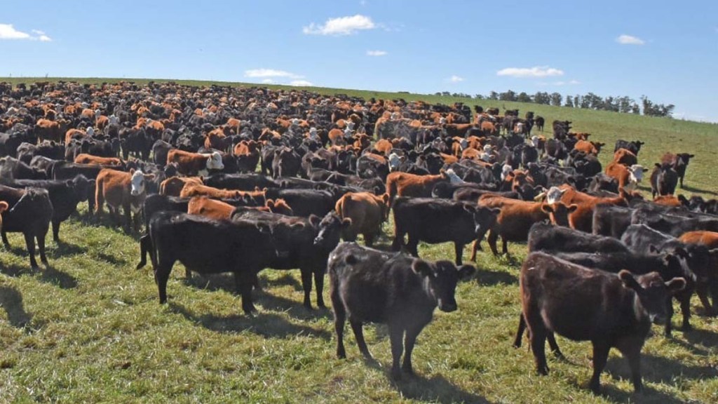 Uruguay implementa tecnología para una ganadería más productiva y ...