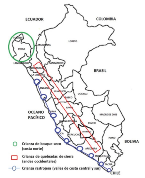 Cabras: potencial olvidado - Actualidad Ganadera